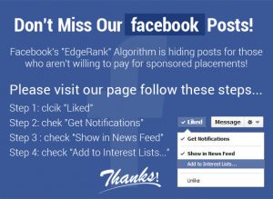 Facebook Page Posts Not Showing In News Feed: What’s The Deal ...