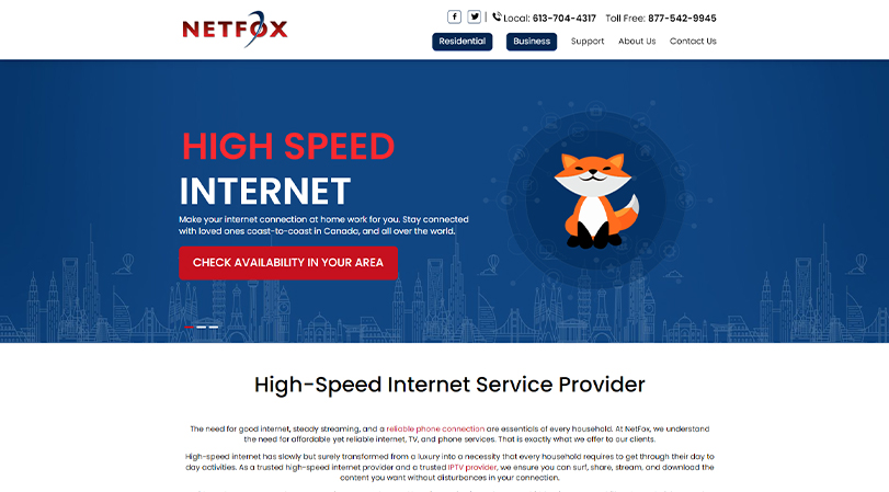 NetFox | TechWyse Internet Marketing