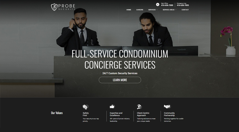 Probe Security | TechWyse Internet Marketing