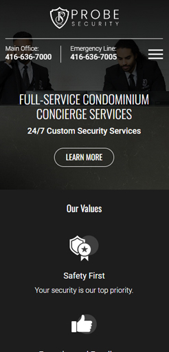 Probe Security | TechWyse Internet Marketing